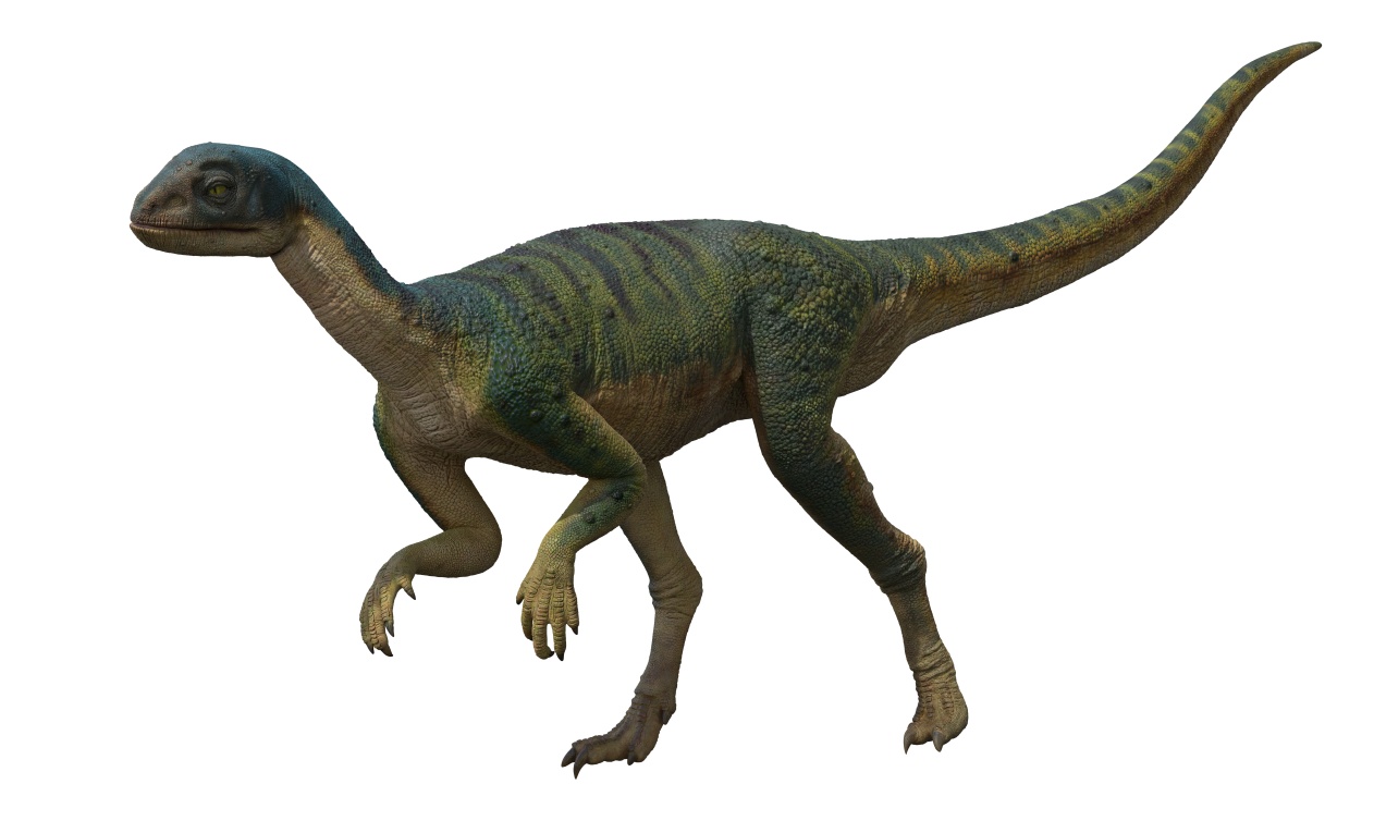 重磅| 重庆发现亚洲最古老的剑龙化石！在云阳！_央广网