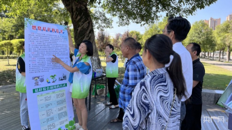 美丽重庆｜守卫北碚生态环境“第一岗哨”_央广网