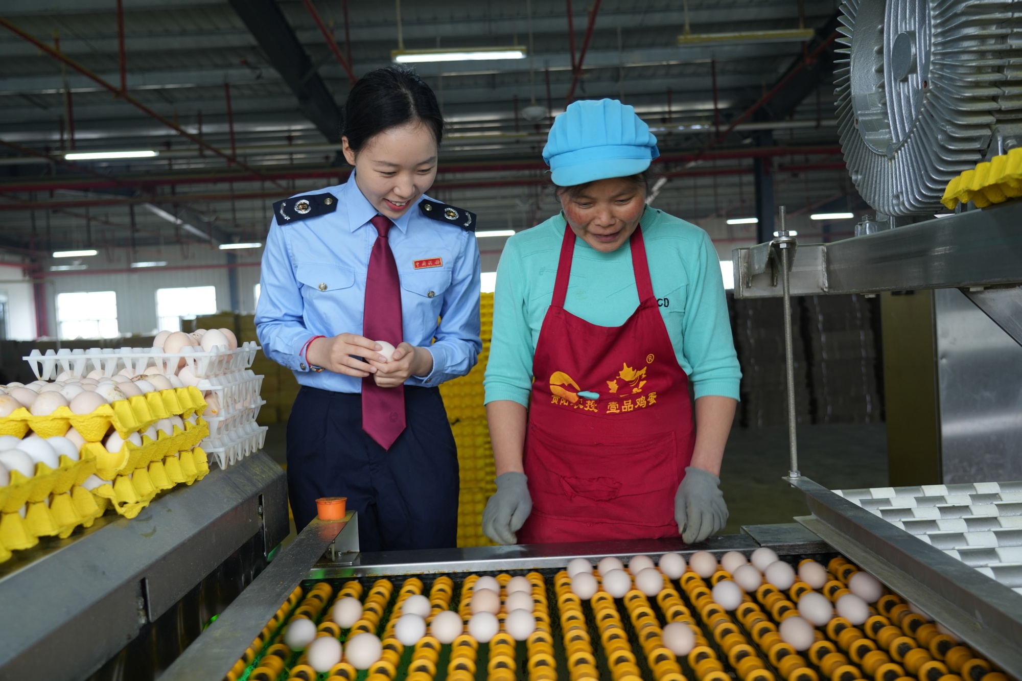 贵州毕节：税惠赋能 “小鸡蛋”走俏粤港澳大湾区_央广网