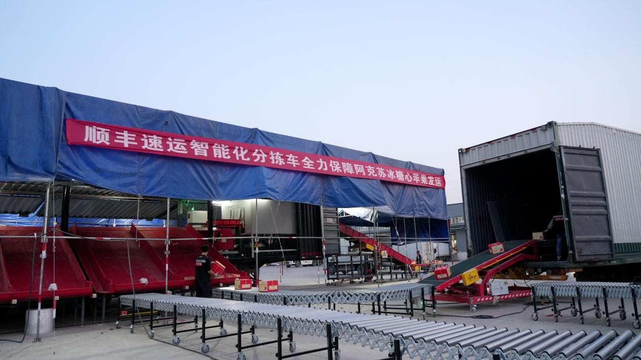 新疆阿克苏顺丰启动“苹果专项行动”_央广网