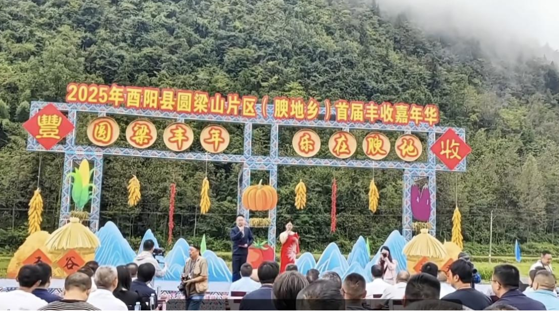 中华财险农险宣传赋能乡村振兴_央广网