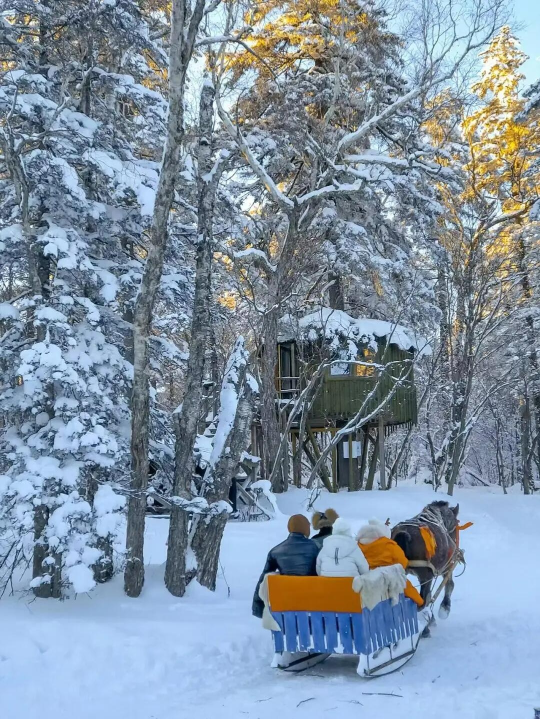 凛冬的风，吹开了北疆的冰雪仙境_央广网