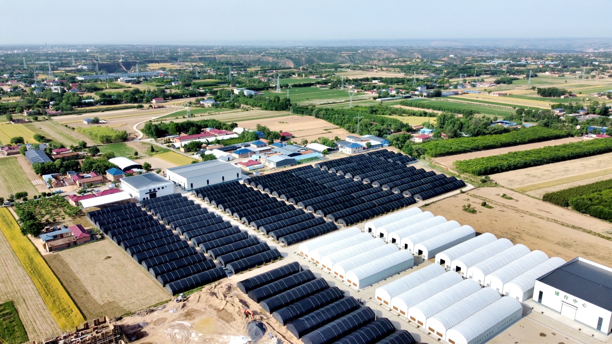 甘肃庆阳西峰：产业链上筑堡垒 强村富民展新颜_央广网