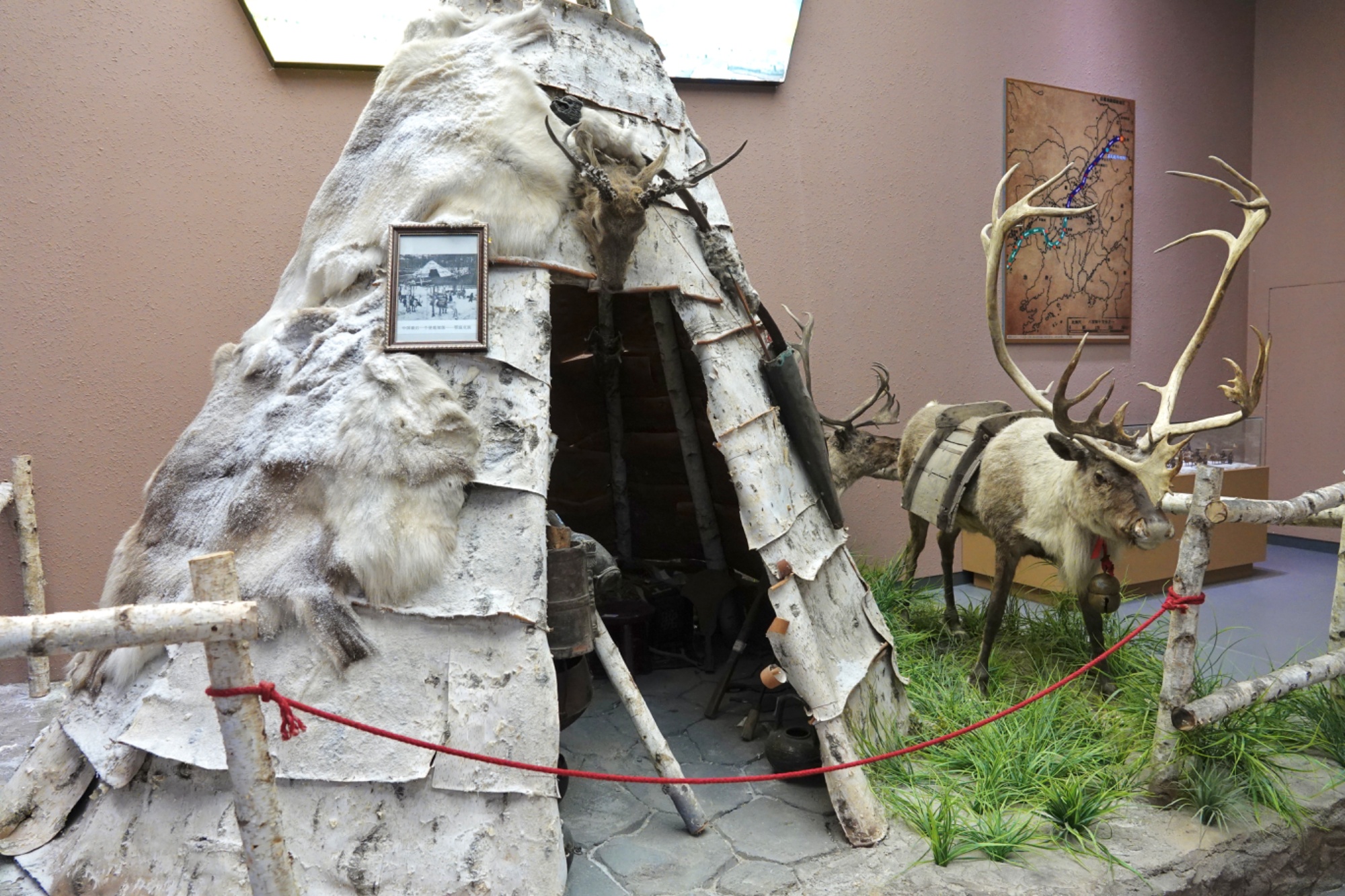 吉畜吉品 “畜”势待发 | 网络名人打卡中国双阳梅花鹿博物馆_央广网