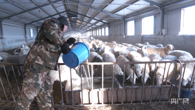 今年首场大范围寒潮来袭，内蒙古全力守护极寒中的民生温度_央广网