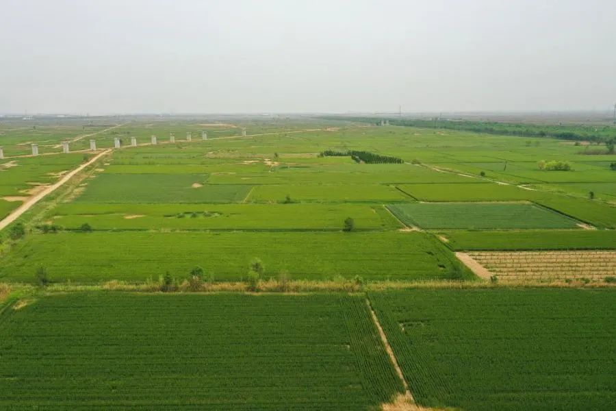 走过2023丨总书记的民生之“问”_央广网