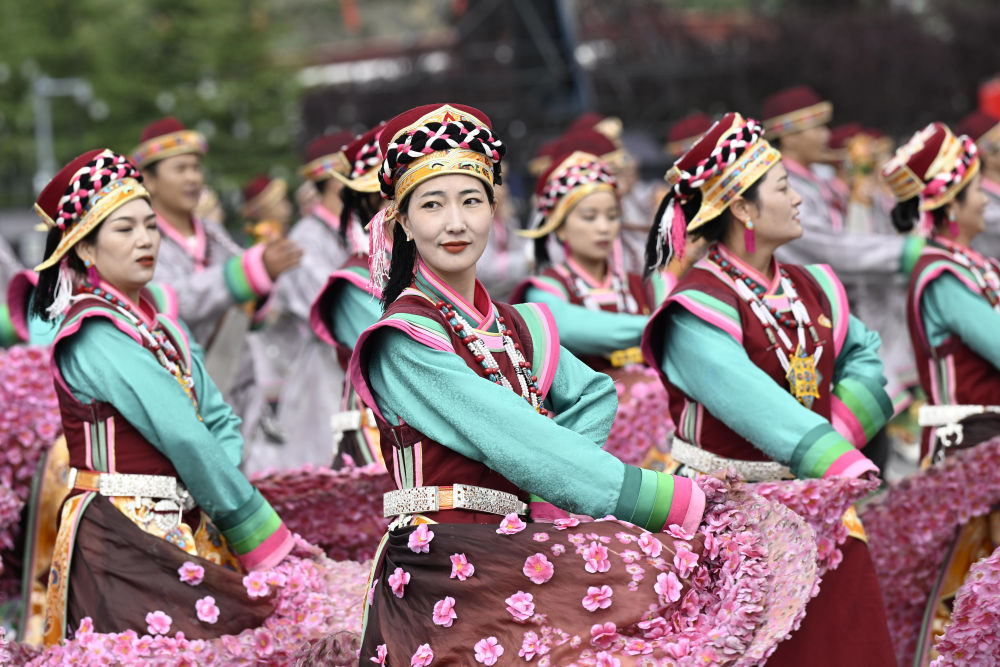 高清大图丨西藏自治区成立60周年庆祝大会现场直击_央广网