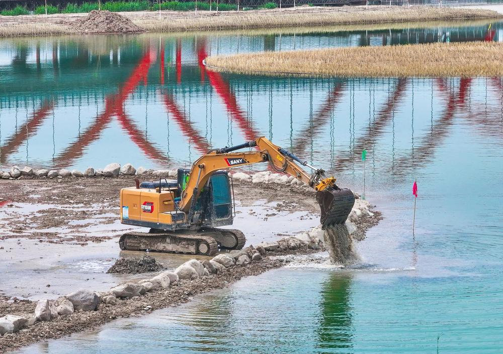阅海九号湖生态修复提速 塞上湖城再添生态明珠_央广网