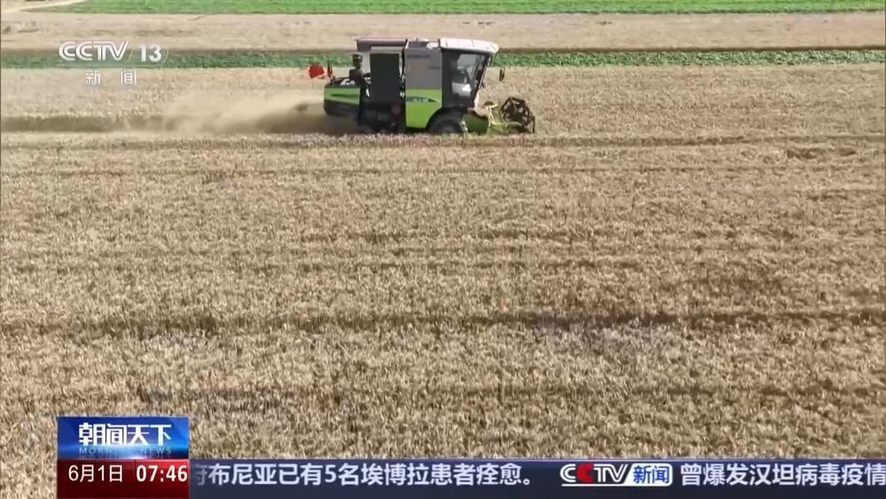 三夏“麦收地图”更新 全国已收小麦7613万亩_央广网